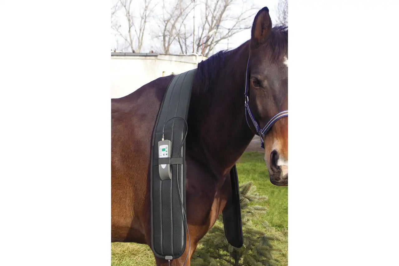 OMI PEMF Horse Shoulder Band – Peak Star Wellness